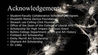 Conserving the New: Diverse Approaches Towards the Conservation of ...