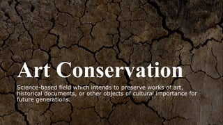 Conserving the New: Diverse Approaches Towards the Conservation of ...
