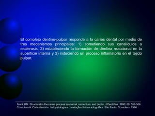 Consideraciones anatómicas e histofisiológicas en terapia pulpar de ...