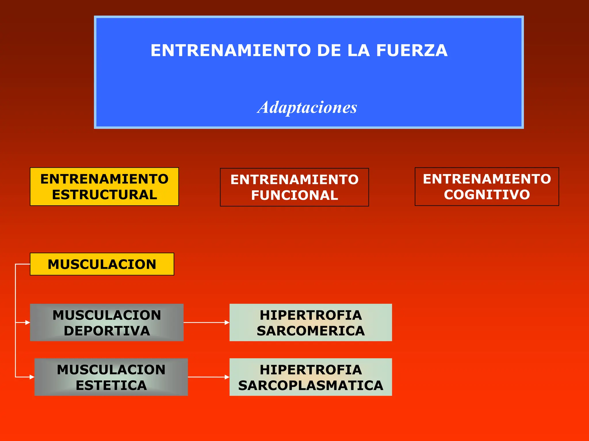 CONSIDERACIONES DE LA FUERZA MUSCULAR.ppt