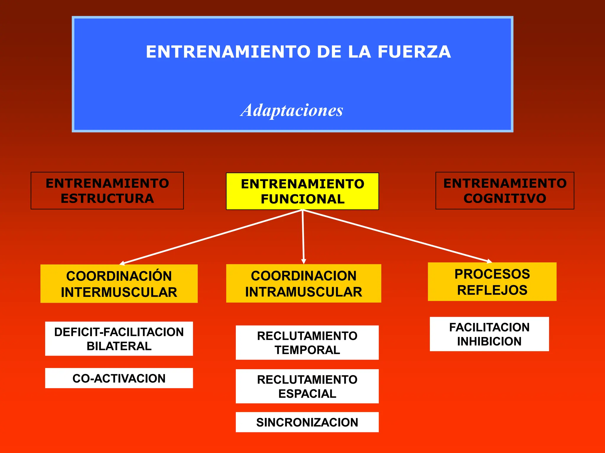 CONSIDERACIONES DE LA FUERZA MUSCULAR.ppt
