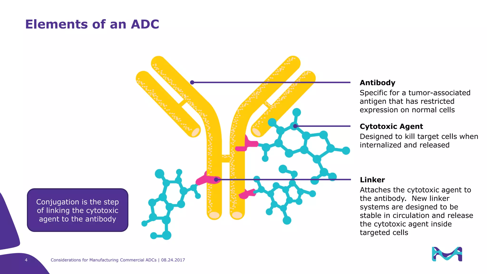 Considerations for Manufacturing Commercial Antibody Drug Conjugates ...