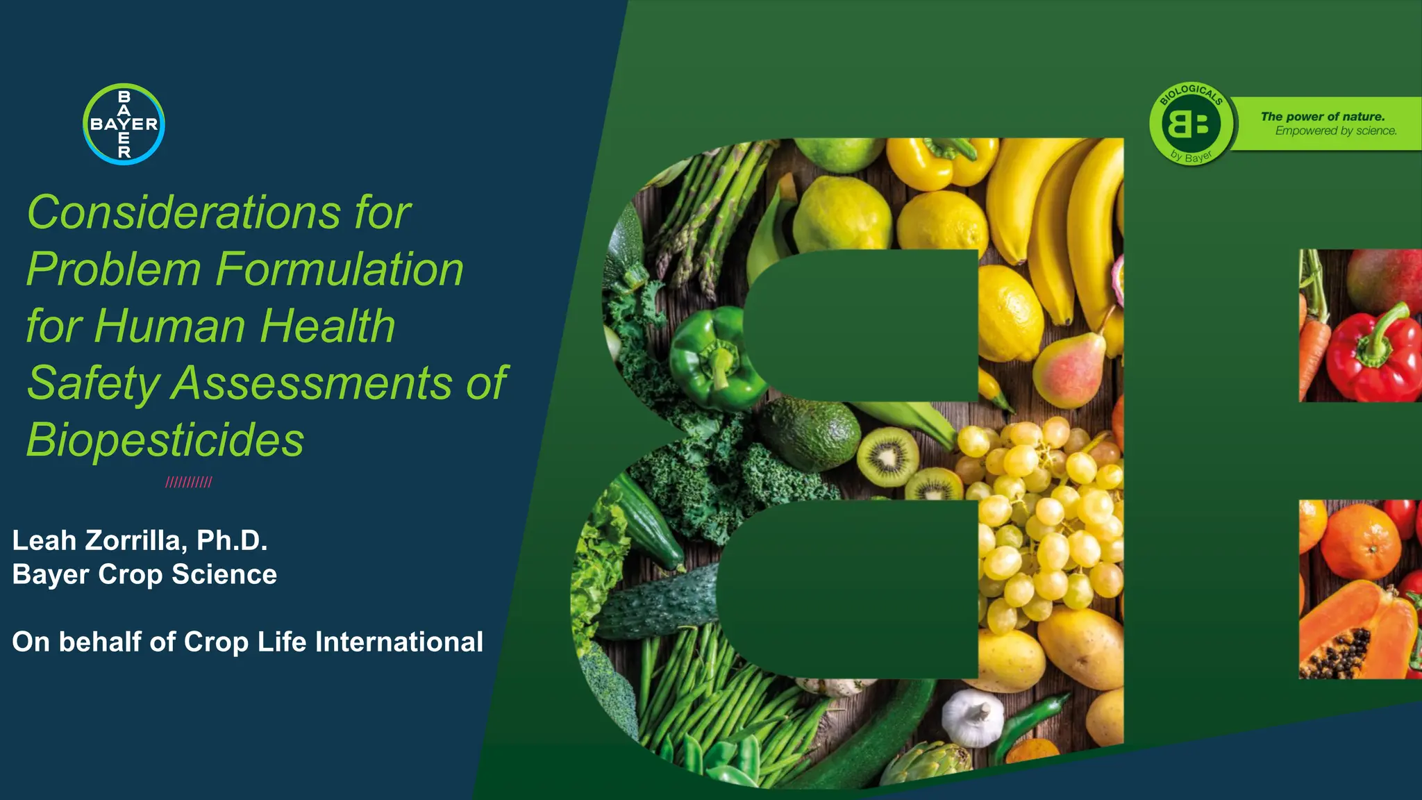 Considerations for Problem Formulation for Human Health Safety ...