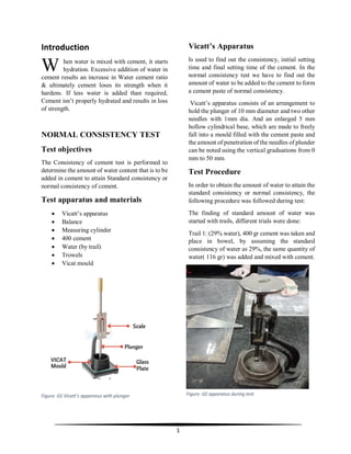 Normal Consistency and Sitting times of cement paste | PDF
