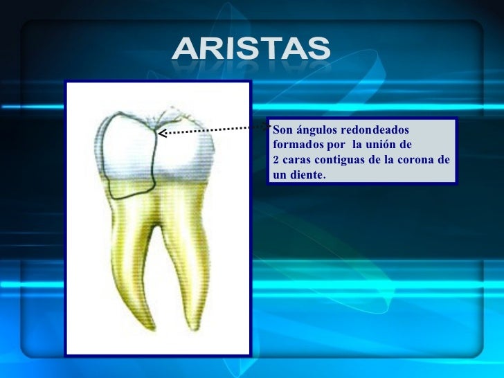 Consolidado De Morfologia Dental