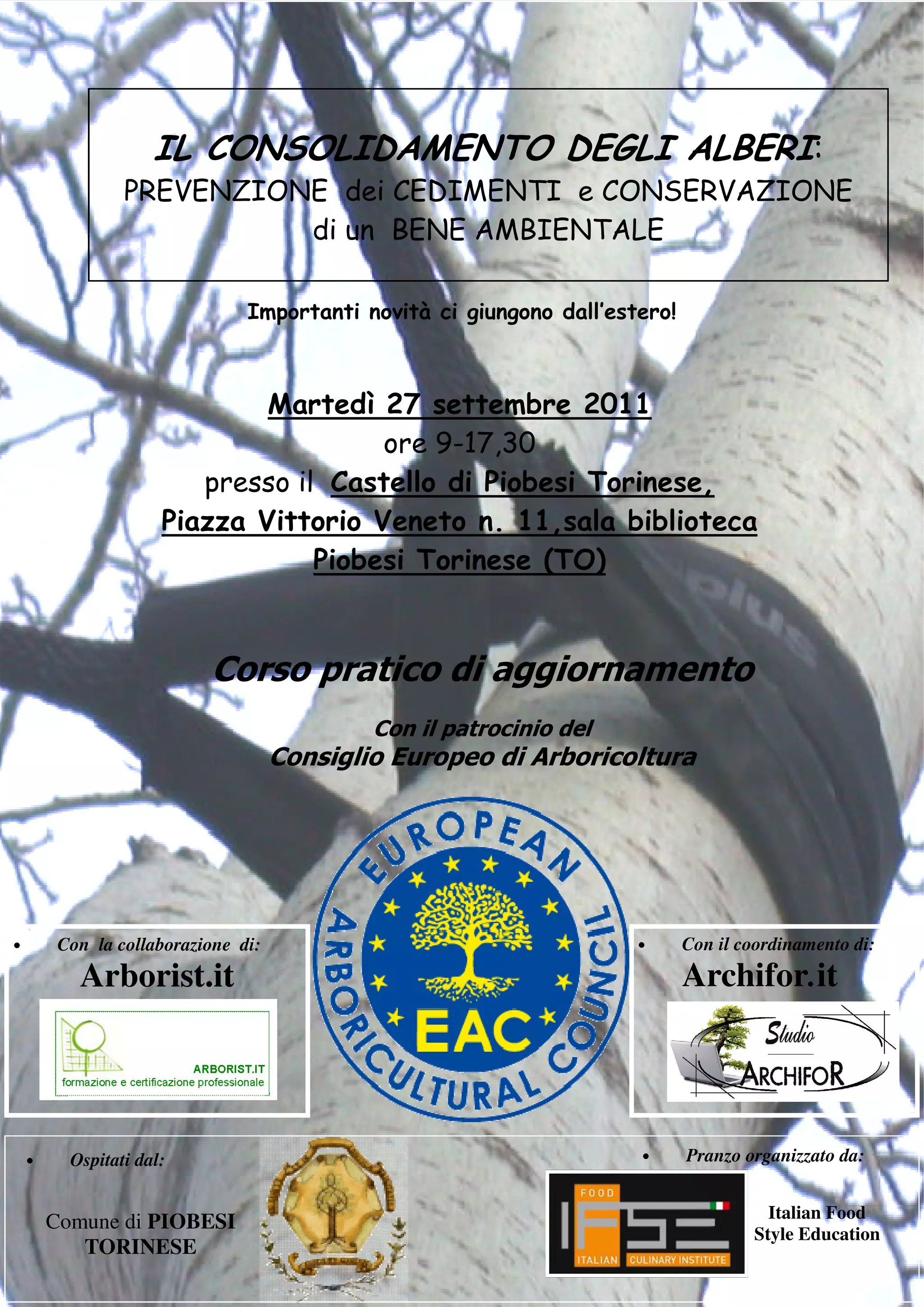 Consolidamenti Torino - V_Lobis | PDF