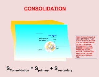 Consolidation | PPT
