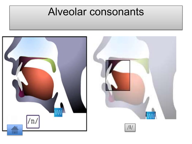 Consonant | PPTX | Ear, Nose and Throat Conditions | Diseases and Conditions