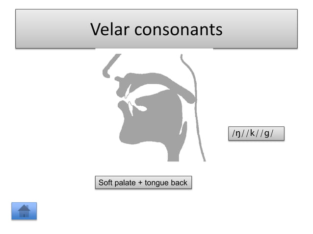 Consonant | PPTX | Ear, Nose and Throat Conditions | Diseases and Conditions