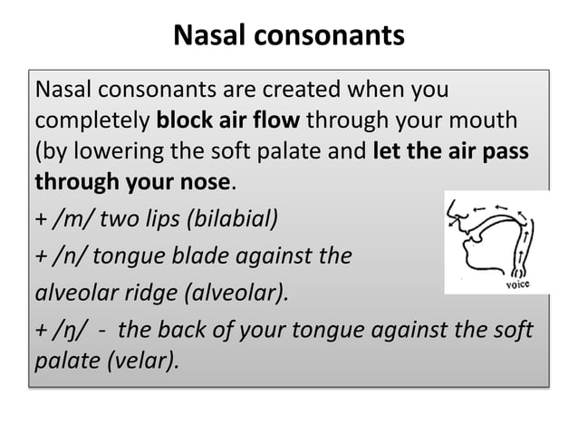 Consonant | PPTX | Ear, Nose and Throat Conditions | Diseases and Conditions