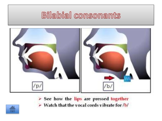 Consonant | PPTX | Ear, Nose and Throat Conditions | Diseases and Conditions