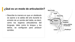 Consonantes de la lengua española.pptx