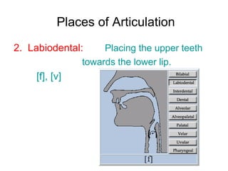 Consonant g1a | PPT
