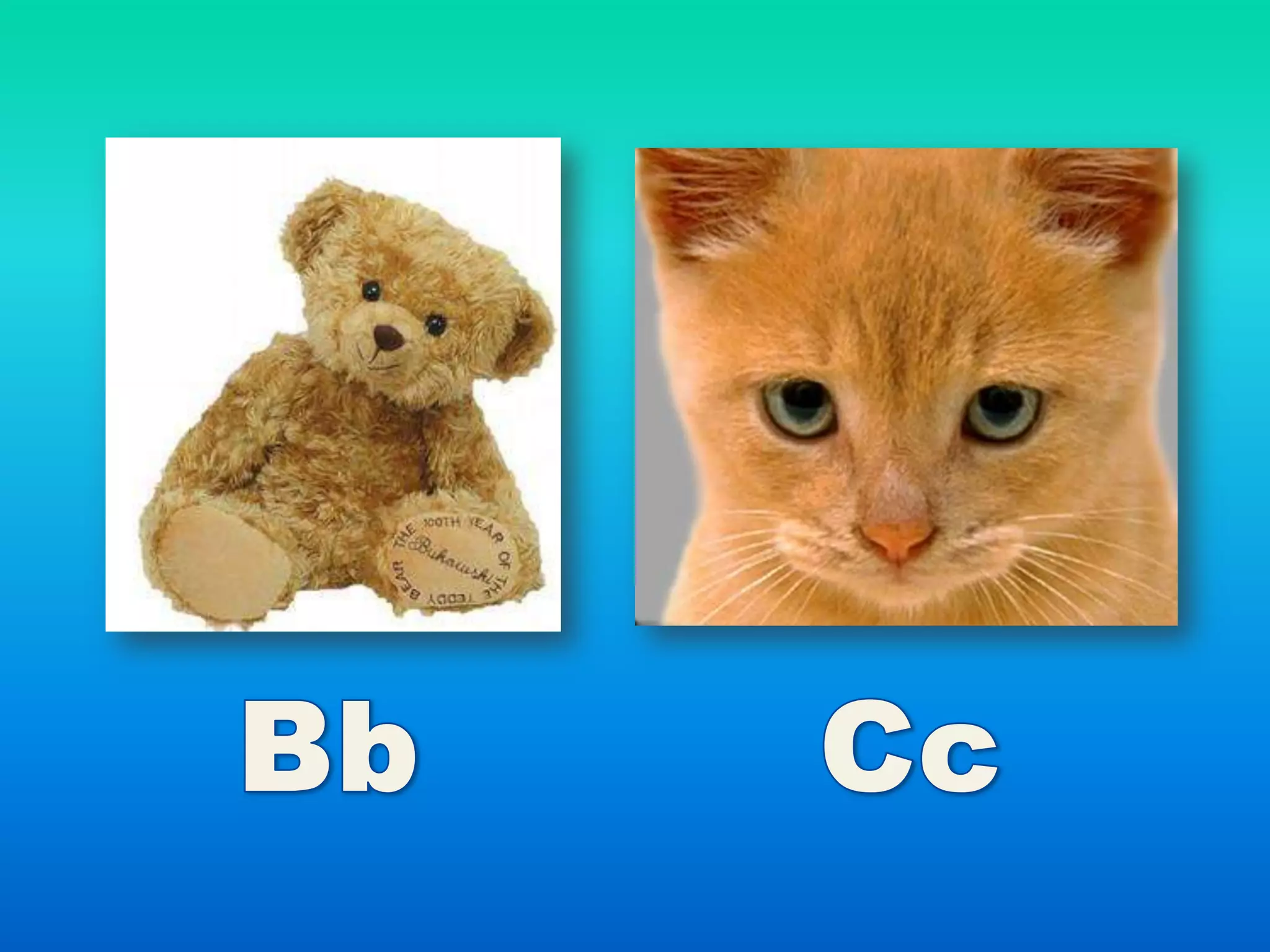 Consonant presentation | PPT