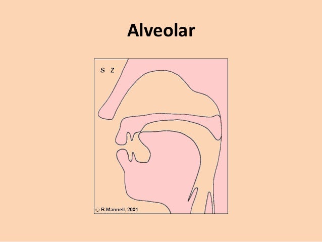 Phonetics: Consonants