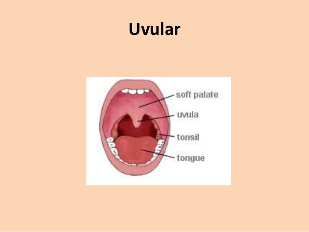 Phonetics: Consonants