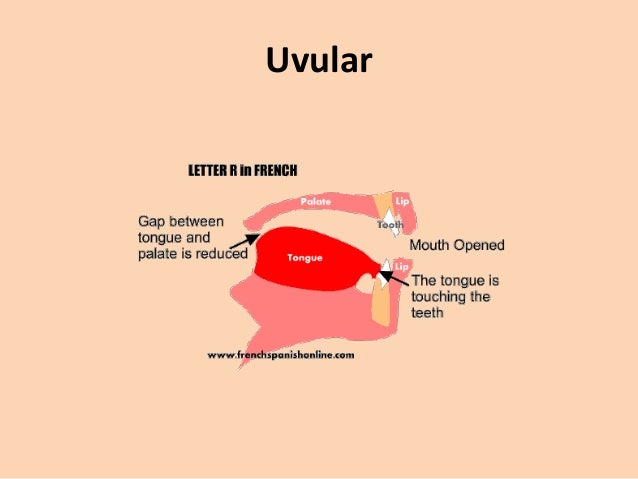 Phonetics: Consonants