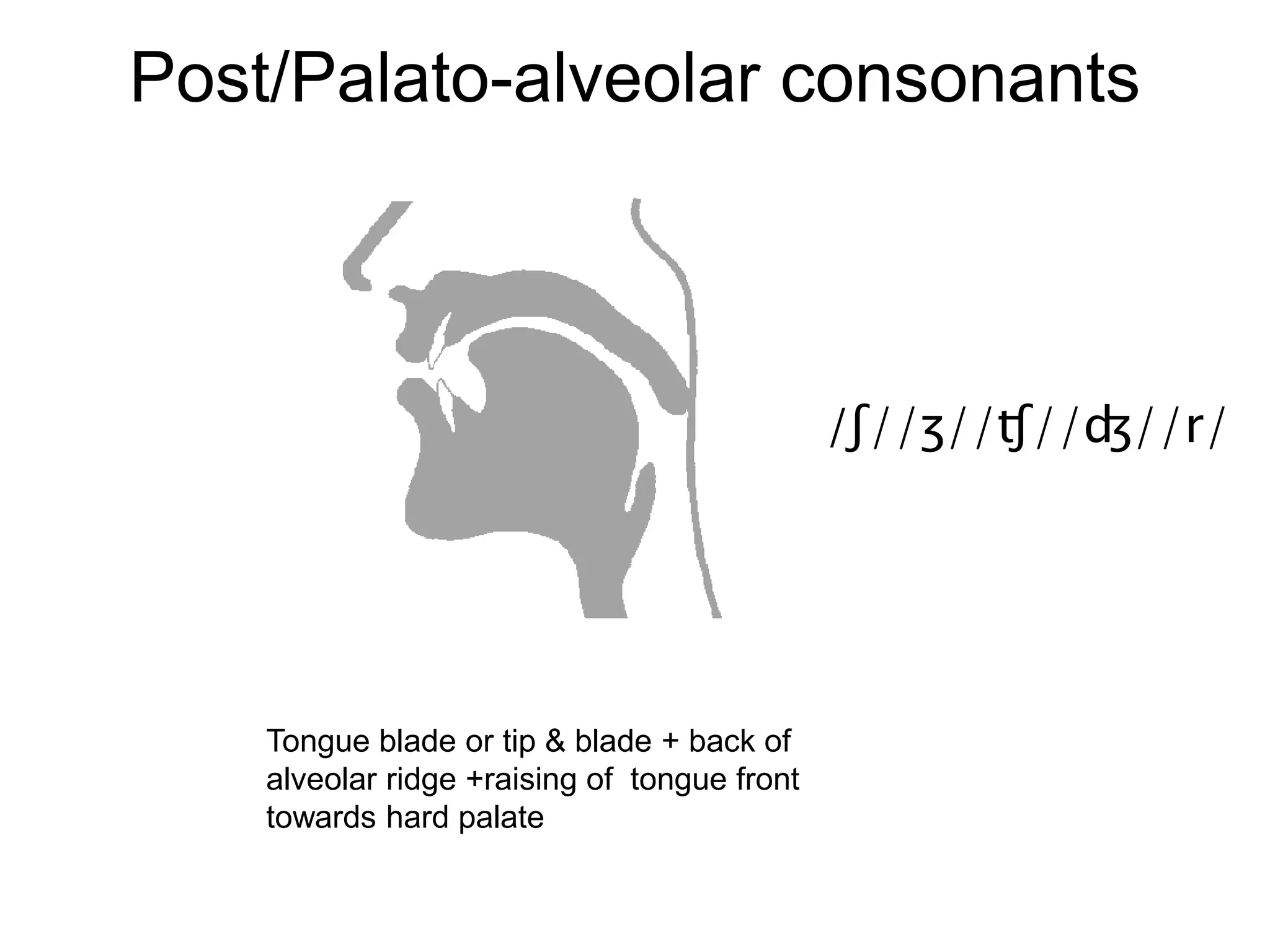 Consonants | PPTX