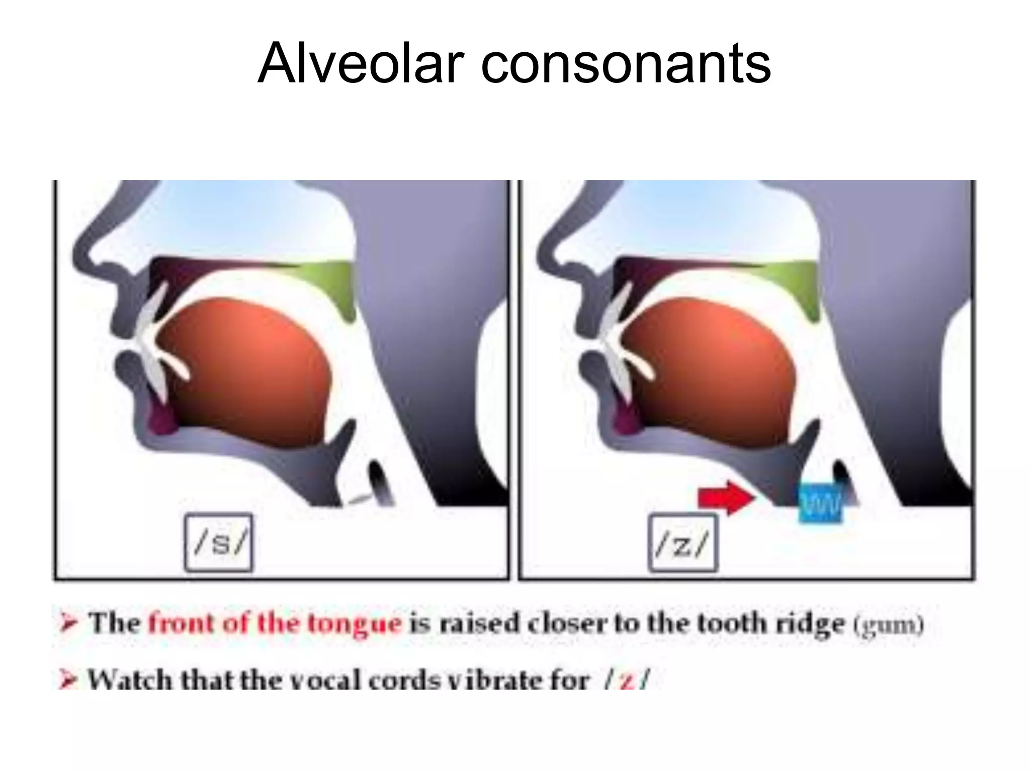 Consonants | PPTX
