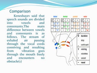 Consonants | PPT