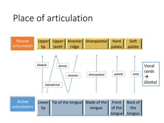 English Consonants | PDF