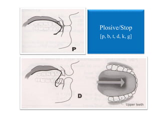 English Consonants | PDF