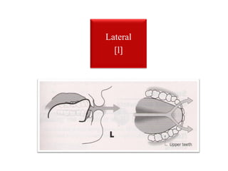 English Consonants | PDF