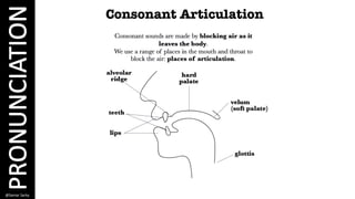 Phonatics Rules pronunciation Consonants.pdf | Ear, Nose and Throat Conditions | Diseases and ...