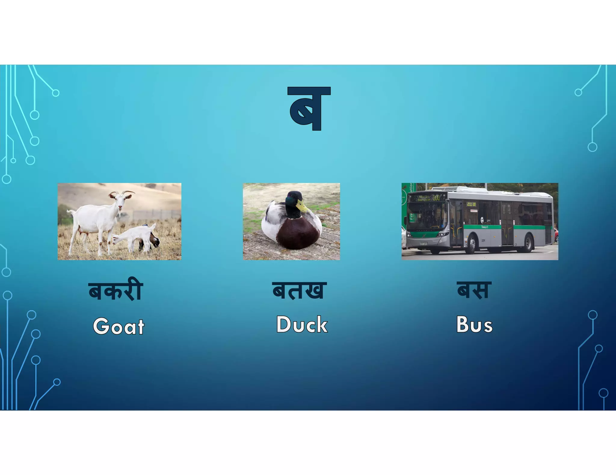 Hindi Consonants (Vayanjan) | PDF