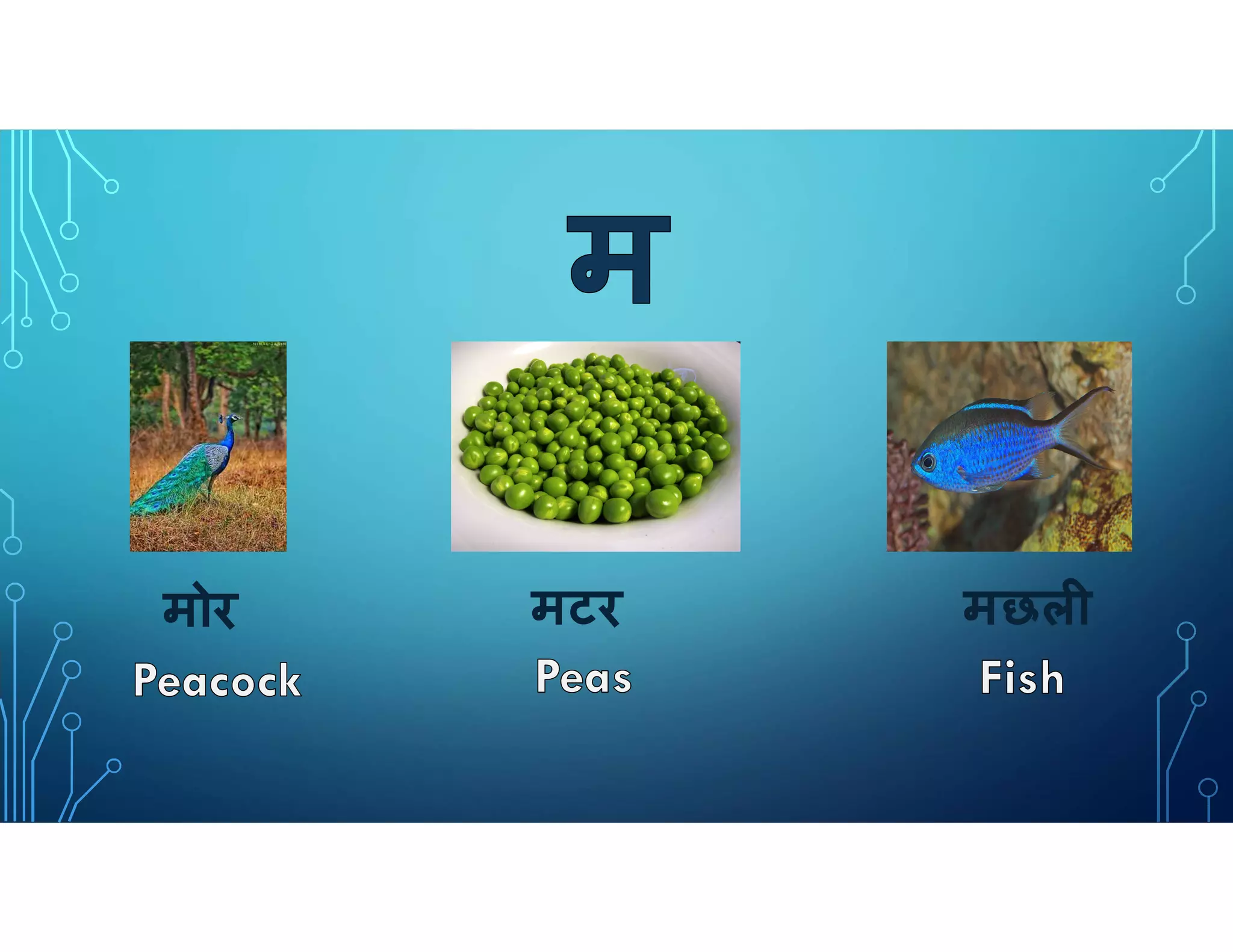 Hindi Consonants (Vayanjan) | PDF