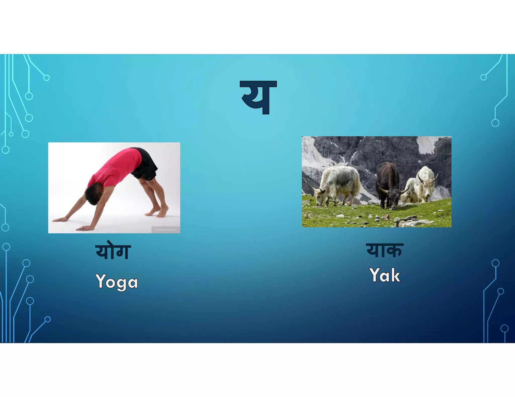 Hindi Consonants (Vayanjan) | PDF