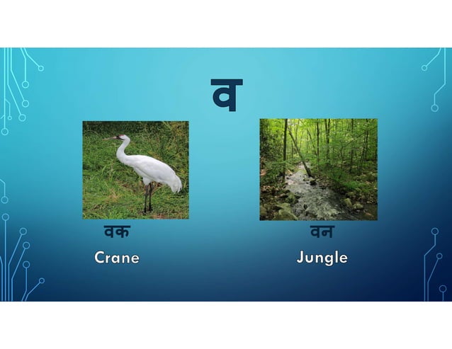 Hindi Consonants (Vayanjan) | PDF
