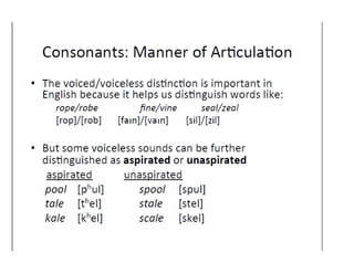 consonants ppt.pdf