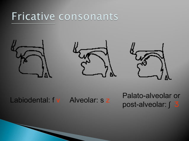 Consonants presentation | PPT | Ear, Nose and Throat Conditions | Diseases and Conditions