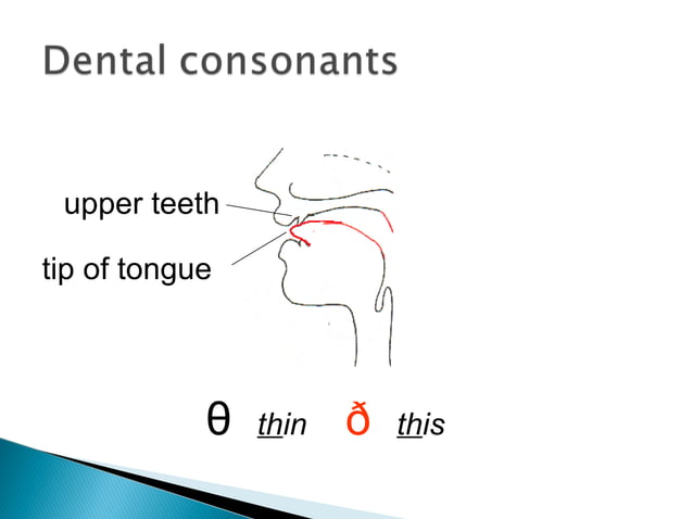 Consonants presentation | PPT | Ear, Nose and Throat Conditions | Diseases and Conditions