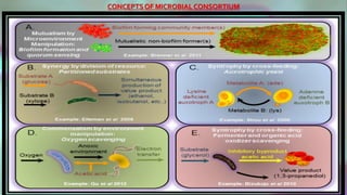 Microbial Consortia in Environmental Management - Concepts, Scope and ...