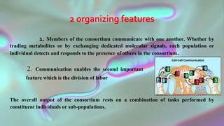 Microbial Consortia in Environmental Management - Concepts, Scope and ...