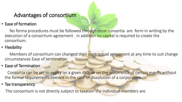 Consortium banking | PPTX | Business Banking & Finance | Business