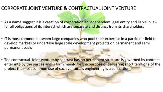 Consortium banking | PPTX | Business Banking & Finance | Business