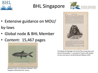 A Biblioteca Global de Patrimônio da Biodiversidade: BHL Day ...