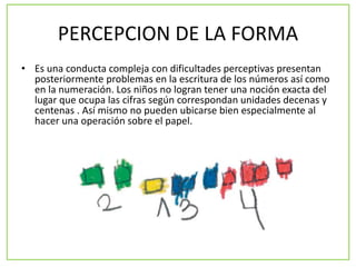 Constancias de color y forma | PPTX