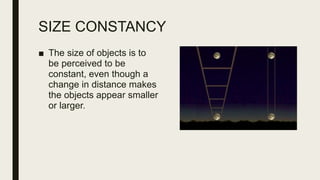 Constancy in design | PPT