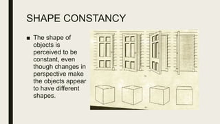 Constancy in design | PPT