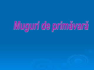 Constantin Ramona | PPT