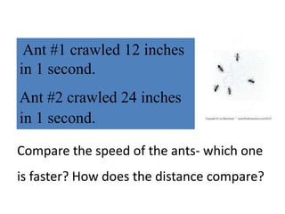 Constant vs Average speed | PPTX