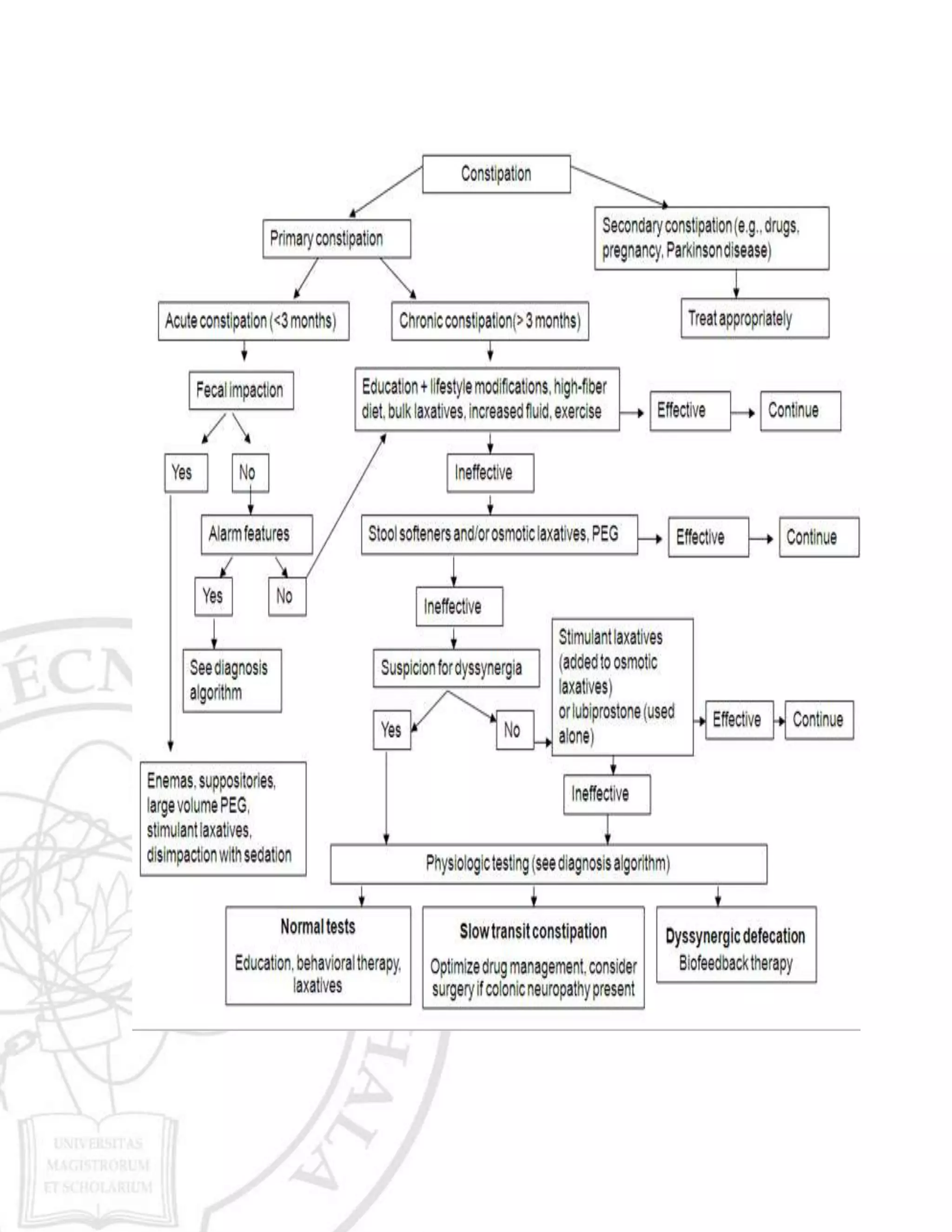 Constipation Algorithm Docx