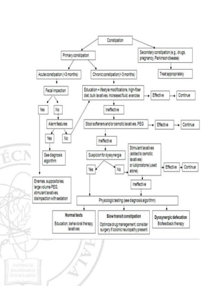 Constipation algorithm | DOCX