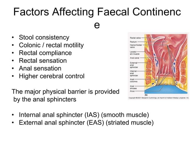 Constipation and Pelvic Floor Disorders.pptx