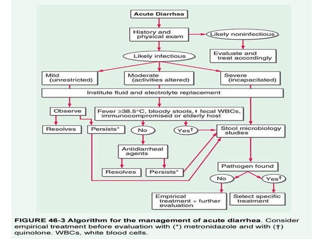 constipation, diarrhea, aCUTE GASROENTRITIS.pptx | Digestive Disorders ...