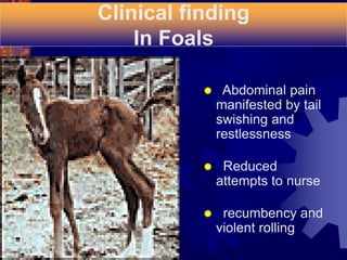 Constipation in neonate animals | PDF | Digestive Disorders | Diseases ...